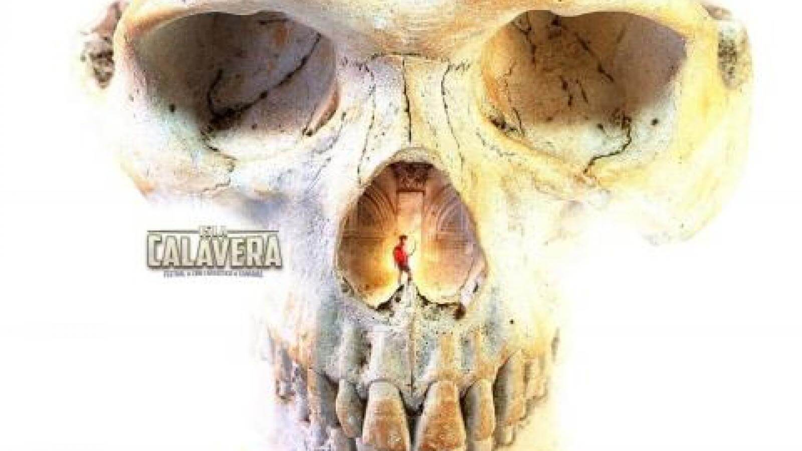 Festival de Cine Fantástico Isla Calavera Tenerife | Hola Islas Canarias