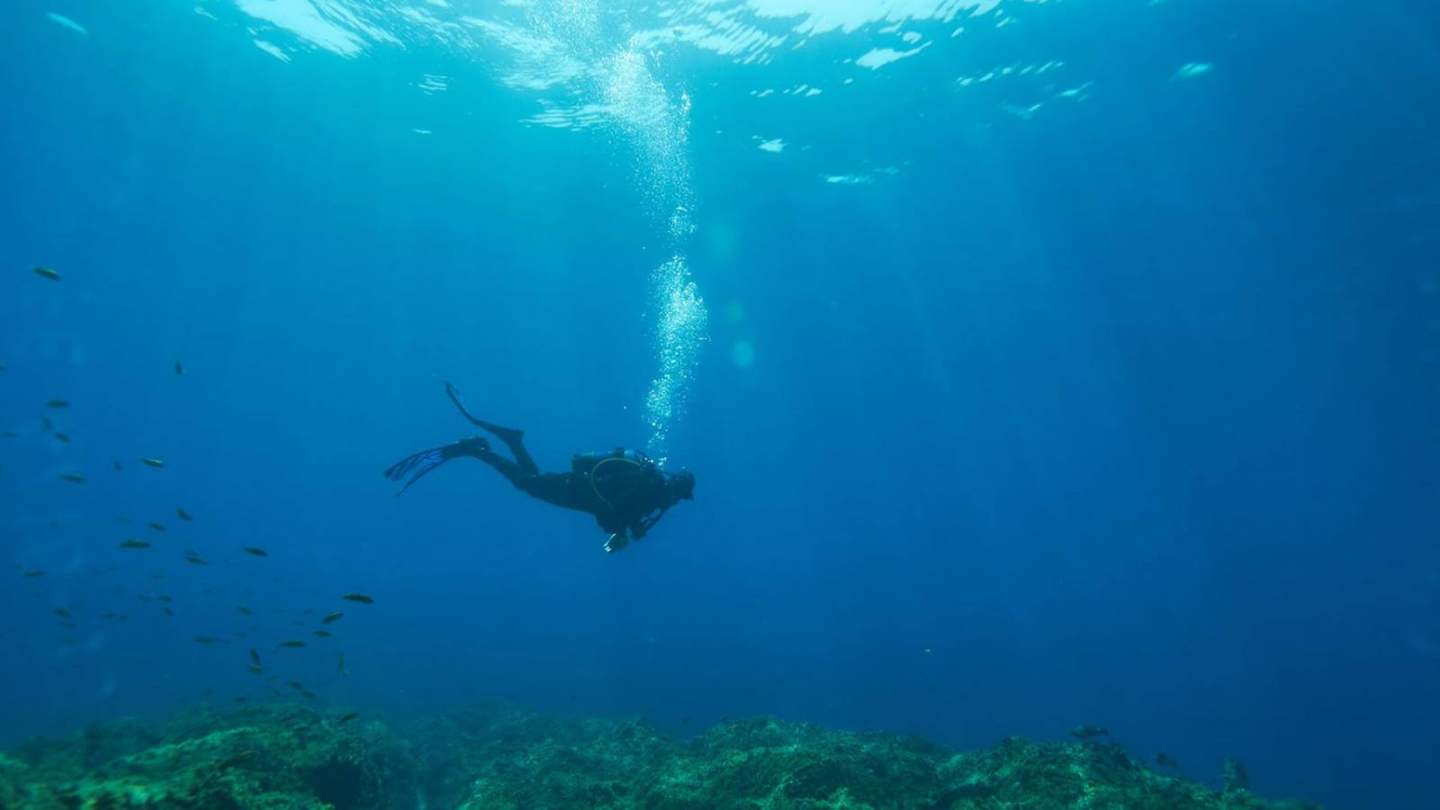 Submarinismo en alta definición | Hola Islas Canarias