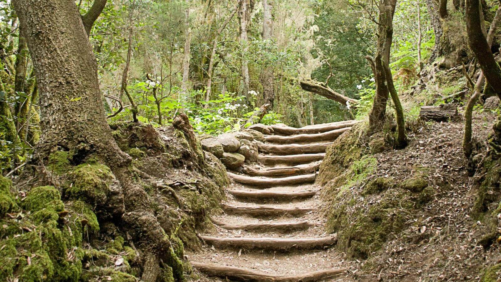Senderos | Hola Islas Canarias