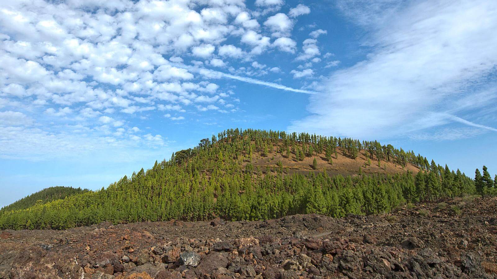 Parque natural de la Corona Forestal | Hola Islas Canarias