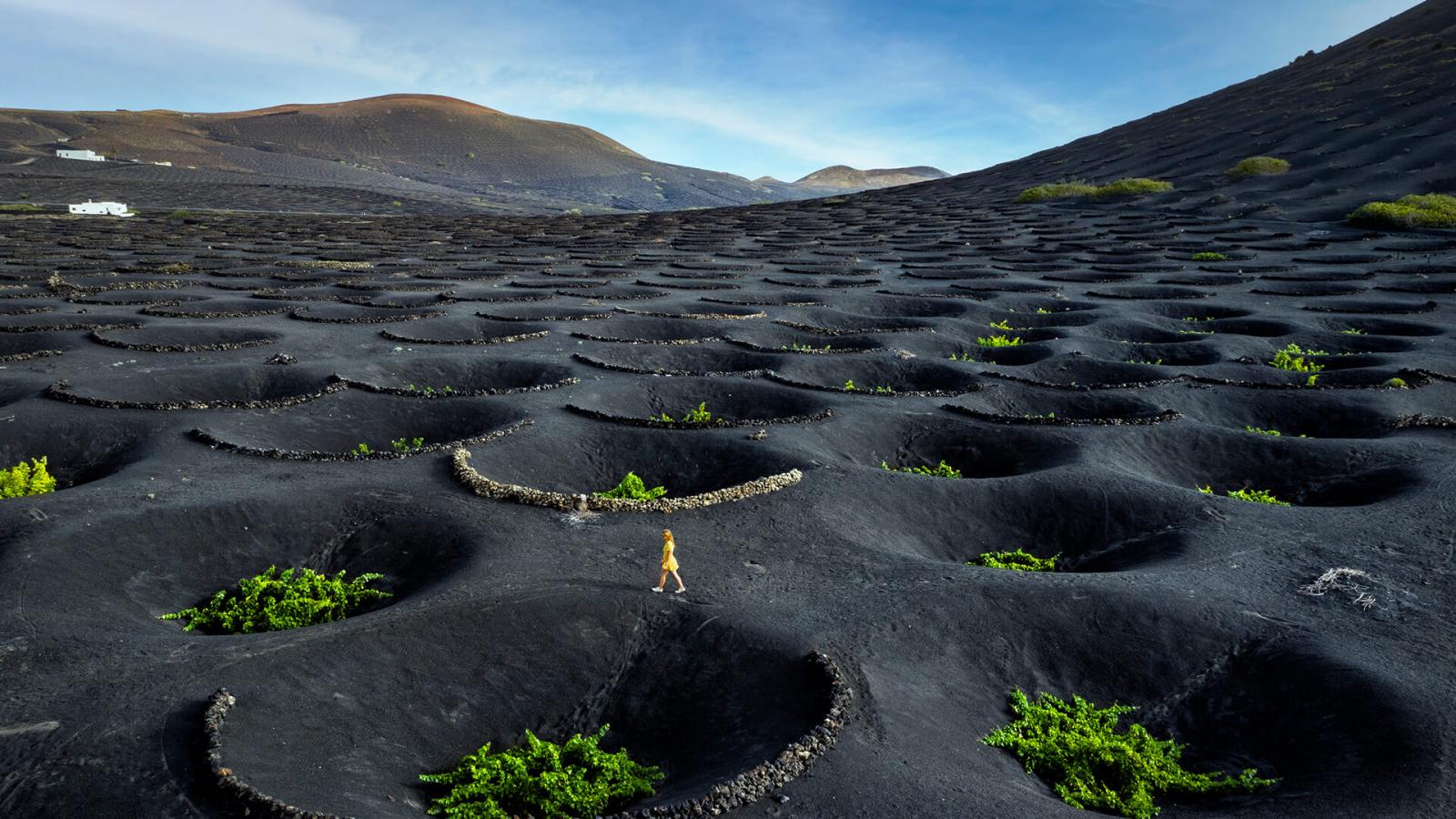 La Geria | Hola Islas Canarias