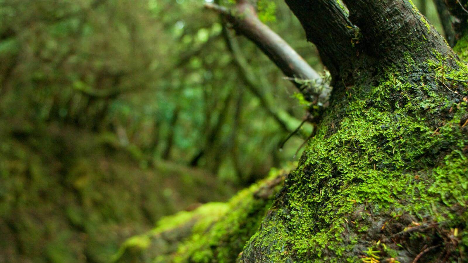 Una excursión a un espacio natural y una experiencia sensorial | Hola ...